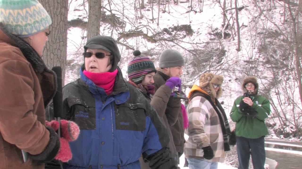A Winter Stonefly Search Trailer
