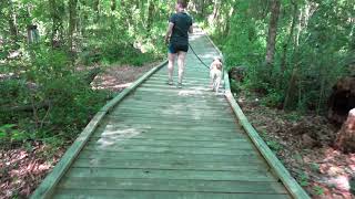 3 Best Hiking Trails in Athens, GA - Expert Recommendations