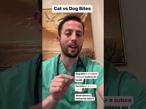 Cat vs Dog Bites - USMLE Step 1 / Step 2 CK