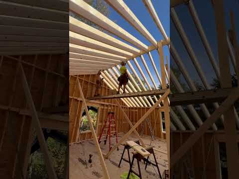 Cathedral ceiling #construction #framing #houseconstruction #woodframing #workflow #howto #shorts 