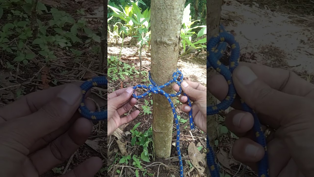 The Knot That Never Fails – Loop Knot Trick for Climbing & Daily Use #knot