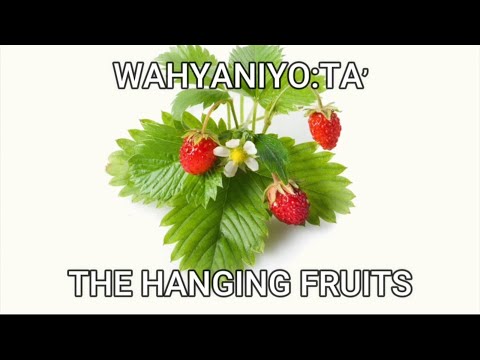 Strawberries & Hanging Fruits