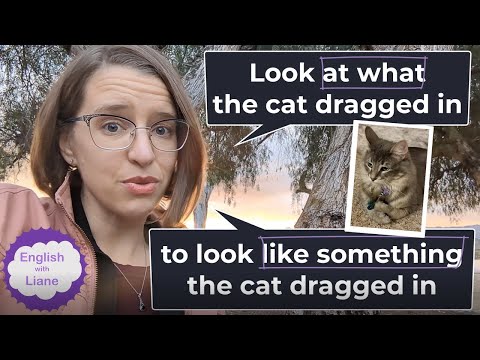 Idioms - look what the cat dragged in and to look like something the cat dragged in