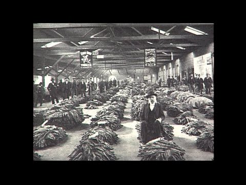 LEGACY OF THE GOLDEN LEAF, NC Dept of Cultural Resources
