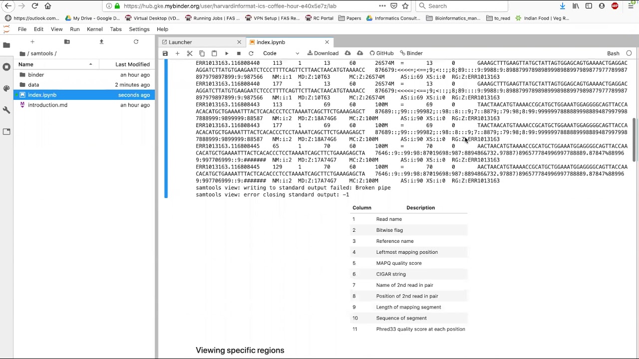 Bioinformatics Coffee Hour: Samtools