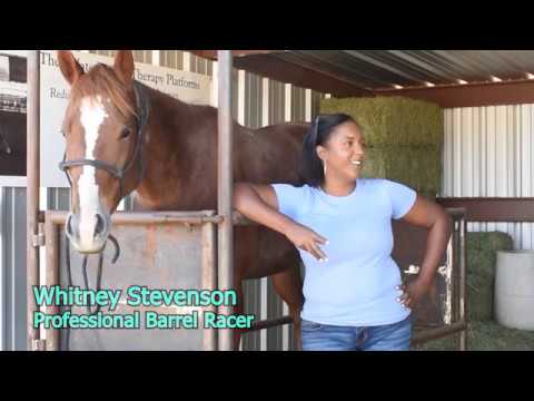 TheraPlate by Rene Audsley Testimonials by ladies that have used the device on their horses