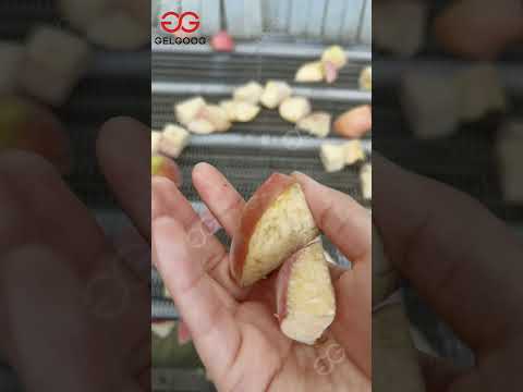 IQF Fruit Vegetables Food Freezer Machine|Fruit Freezer Machine