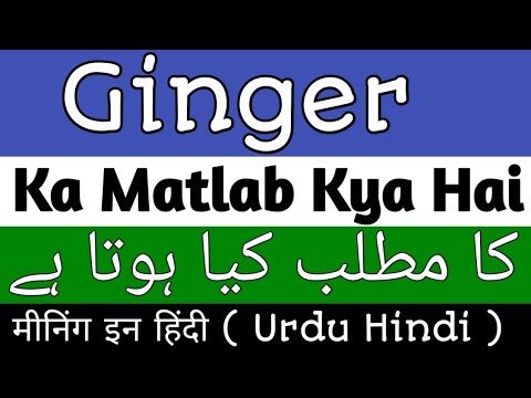 Ginger Meaning In Urdu | Meaning Of Ginger | Ginger Ka Matlab Kya Hai | Ginger Ka Meaning Kya Hai