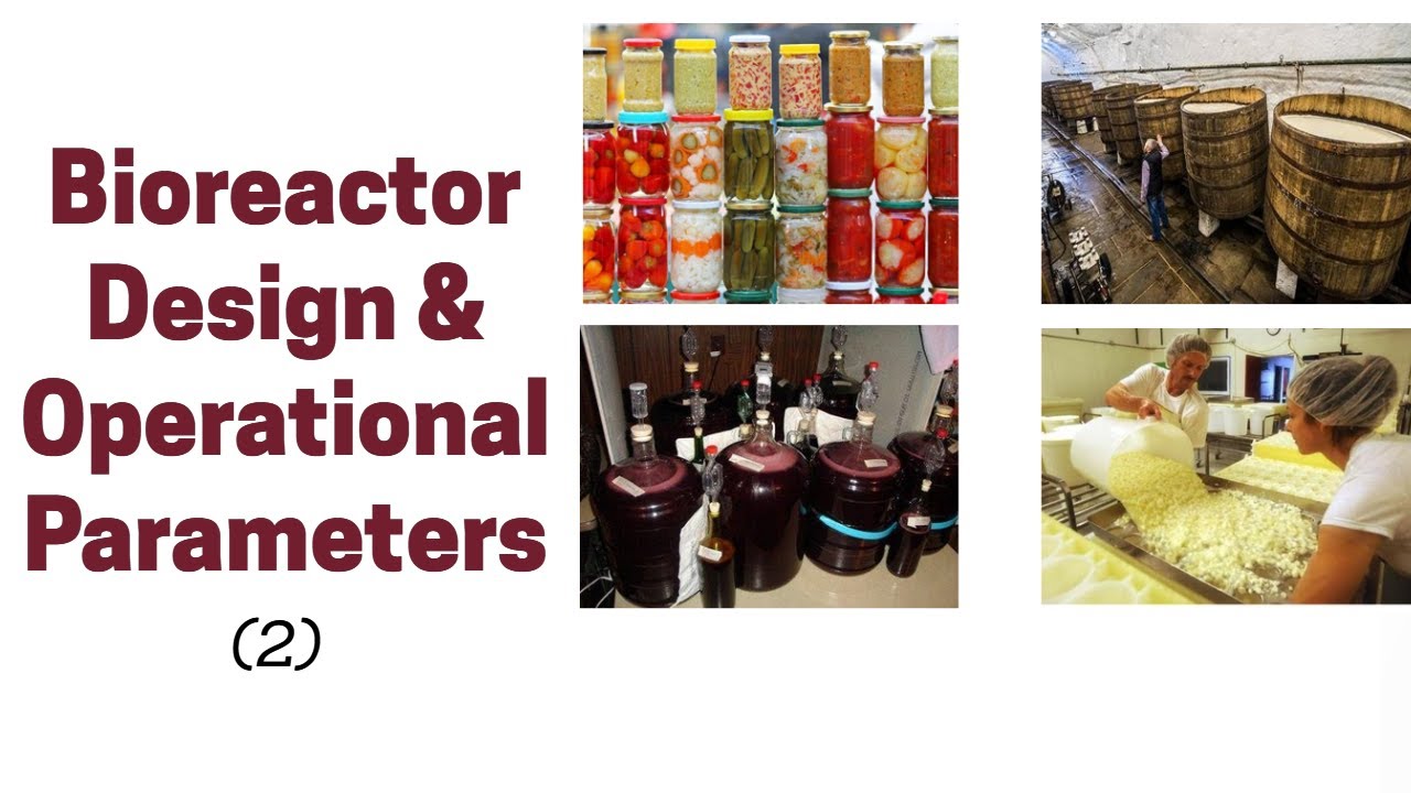 Bioreactor Design & Operational Parameters (2)| Explained| Bioprocess and Biochemical Engineering