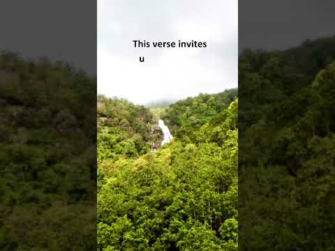 Don't Be Quick To Judge | Bible Verse | James 5:9