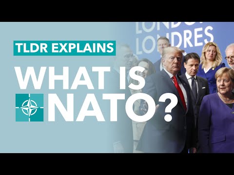 What Does NATO Actually Do? - TLDR Explains