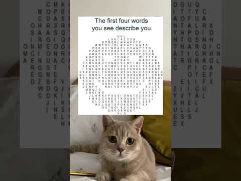 What words did you see?