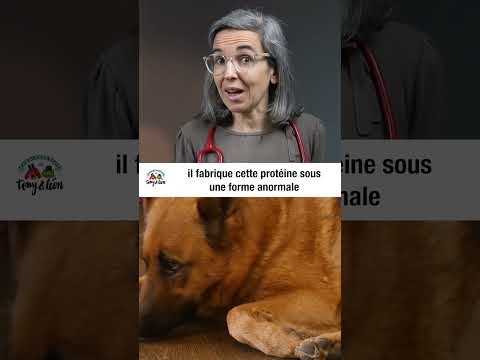 Tout savoir sur le gêne MDR1 - Episode 1