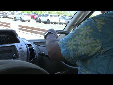 Airport Shuttle Transfer Business