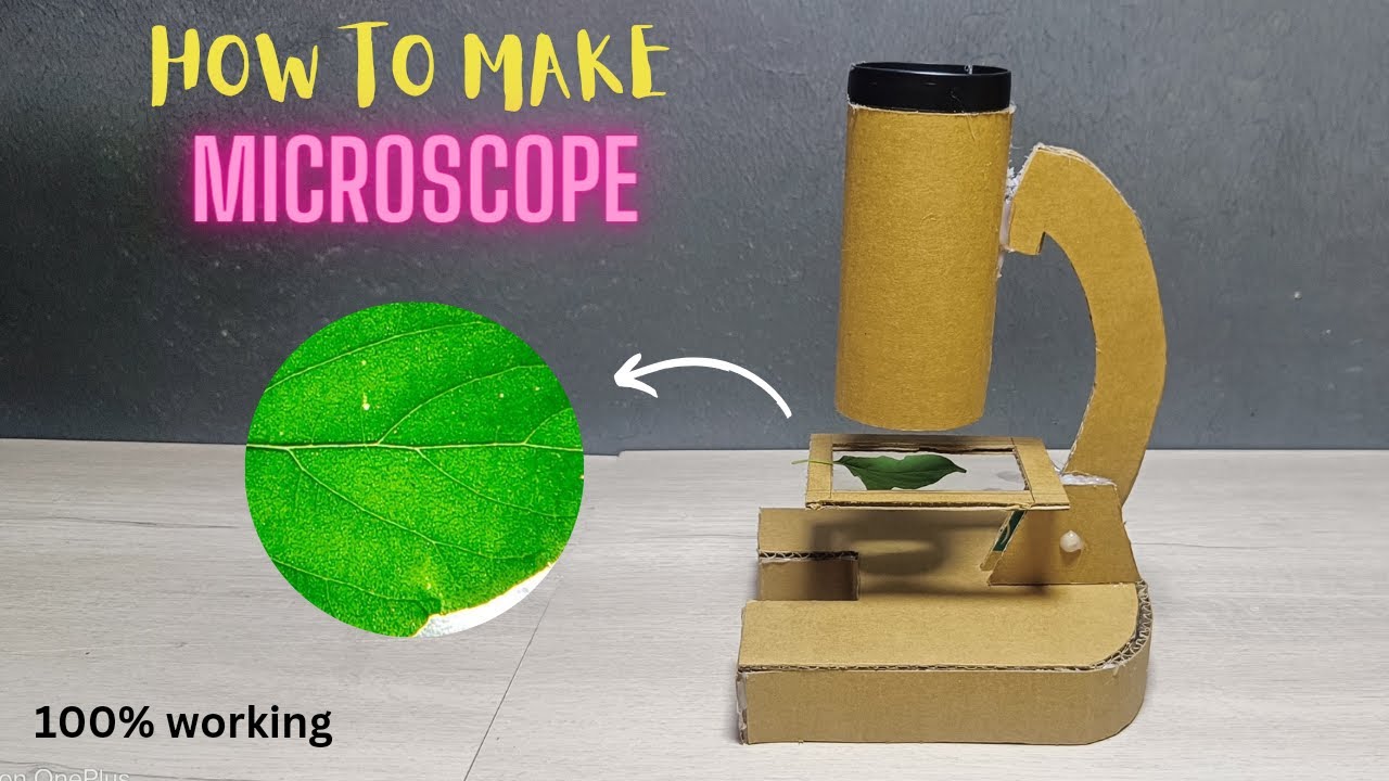 How to Make a Functional Microscope from Cardboard | DIY Science Project