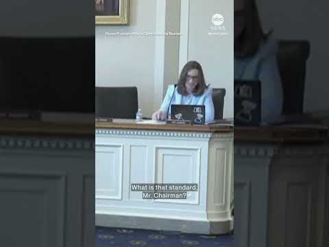 Rep. Sarah McBride misgendered by Republican colleague during committee hearing