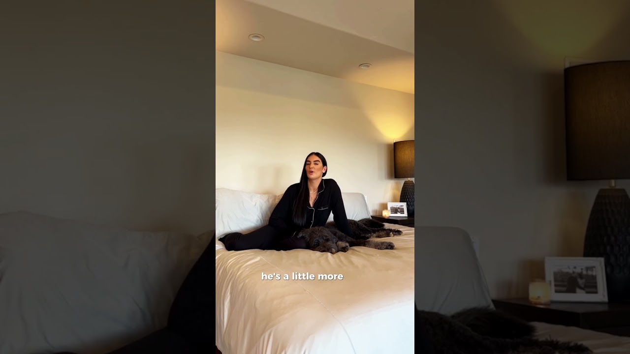 Sleep Like A Pro With #sleepnumber #ad