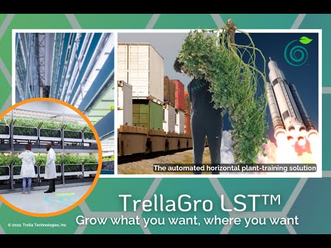 Agri-tech firm creates patented solution to grow tall plants plants indoors using automation.