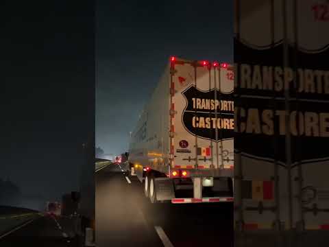 Transportes Castores 🦫🚛