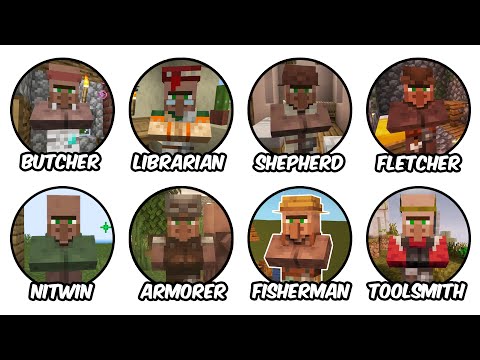 Every Minecraft Villager Explained In 20 Minutes