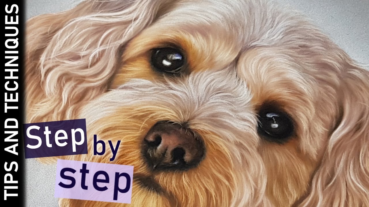 How to draw fur in pastels | Step by step tutorial