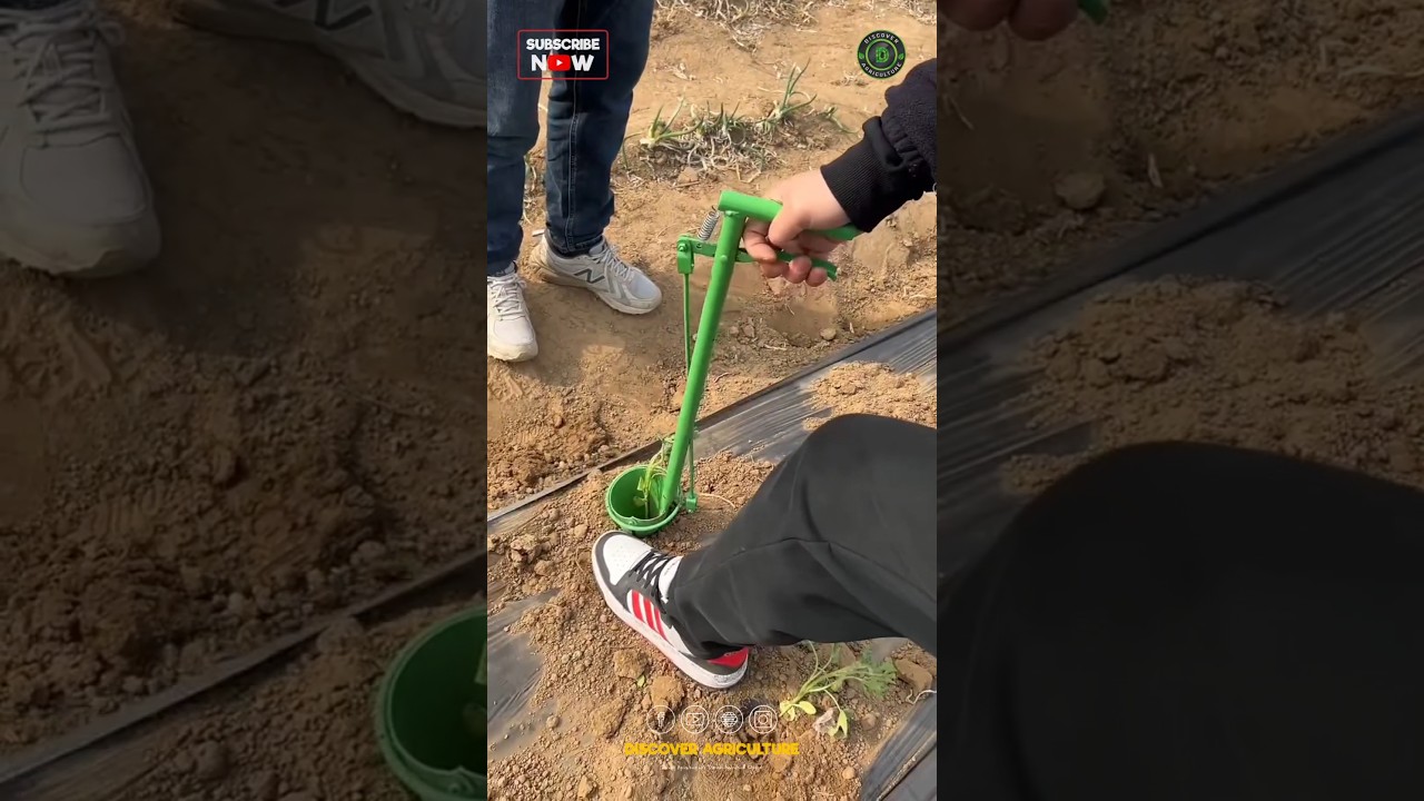 Simple Manual Vegetable Planting Tool