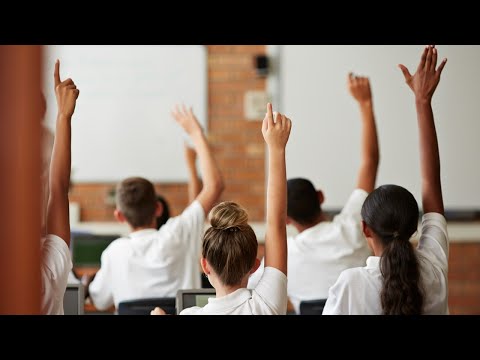 Educator not ‘surprised’ by calls from academia to change ‘English’