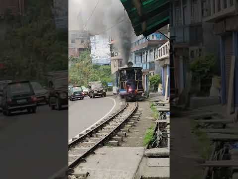Welcome to Darjeeling | Best place to visit and take toy train tour
