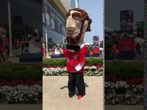Washington Nationals' "Abe" mascot dances before All-Star Game