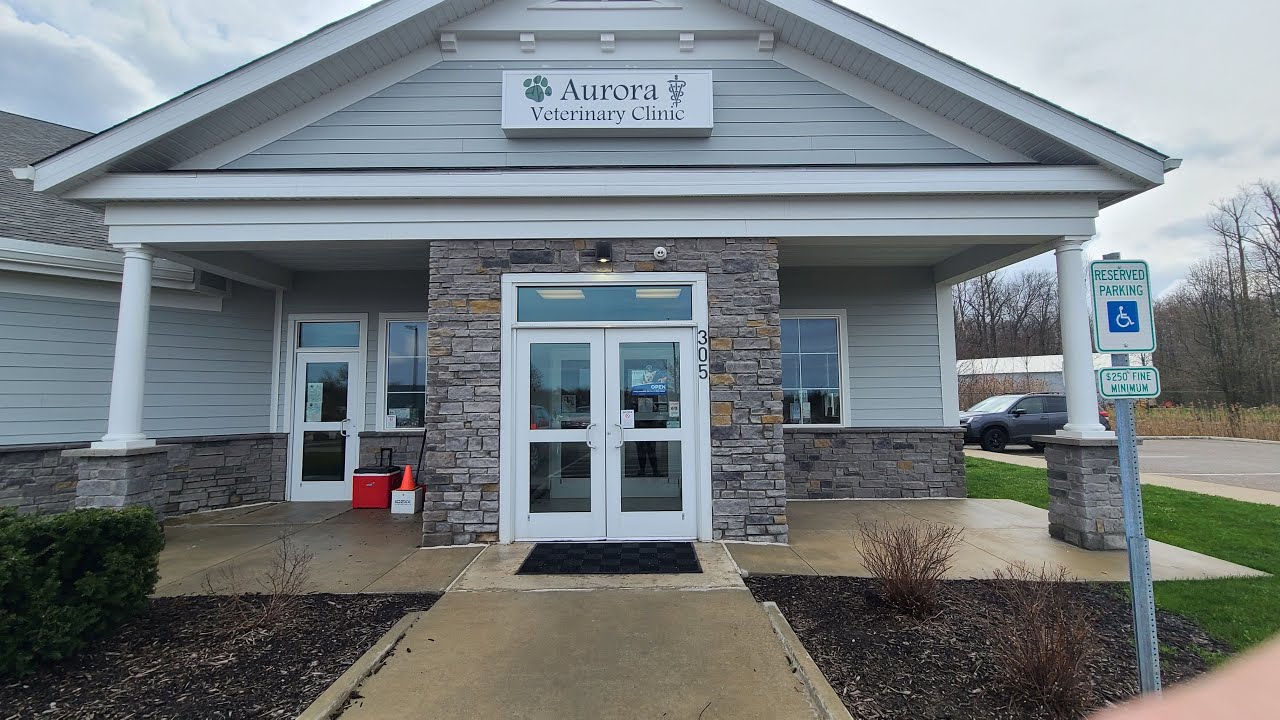 Aurora Vet Clinic Tour #veterinaryclinic #veterinary
