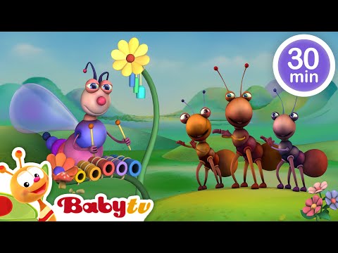 Musical Adventure 🎵🎻 ! African, Jazz, Classical and More! | Music for Kids | Kids Songs @BabyTV