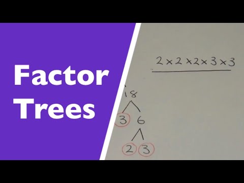 How to work out the product of prime factors using a factor tree.