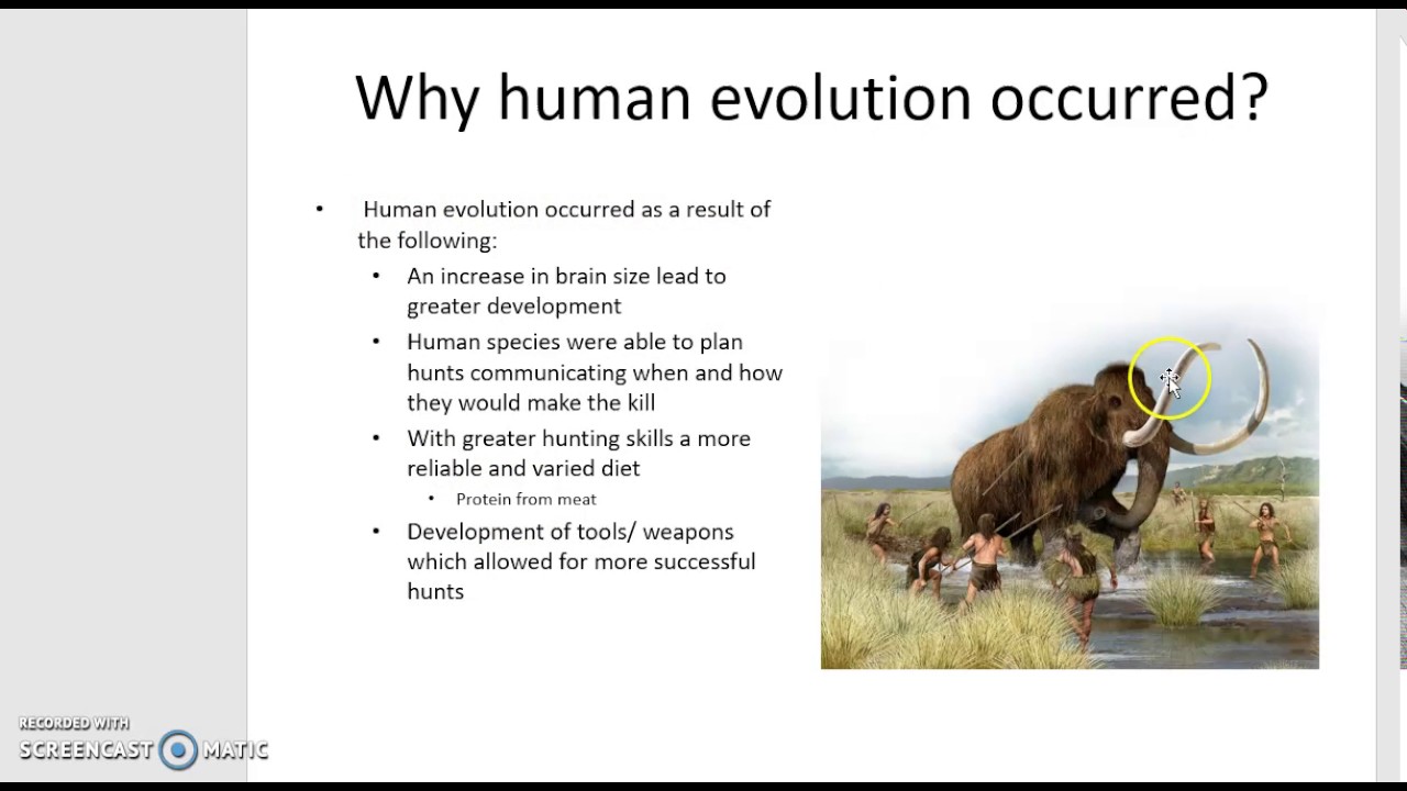 Second evolution powerpoint