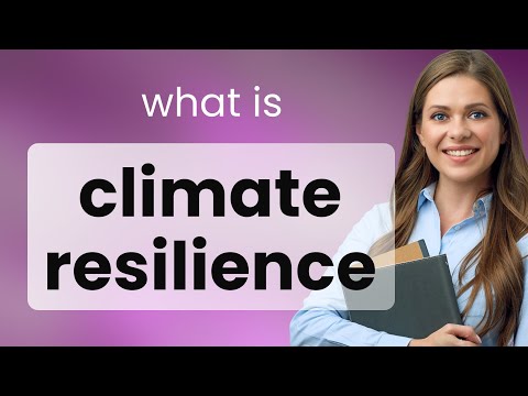 Understanding Climate Resilience: A Guide
