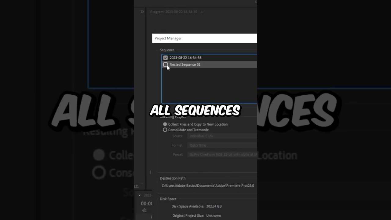 How To Share a Project in Premiere Pro
