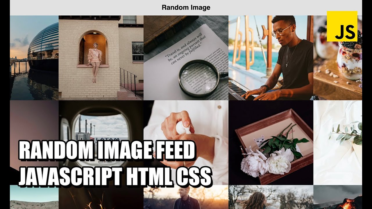 Random Image Feed | JavaScript HTML CSS
