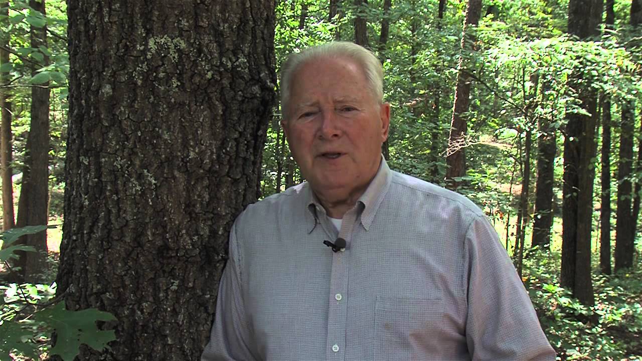 breeding better dogs