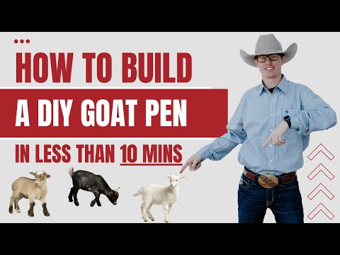 How To Build A DIY Goat Pen In Less Than 10 Mins! - Seven Peaks Fence And Barn