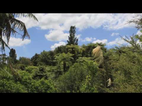 PREVIEW TRAILER Easily traveling through New Zealand