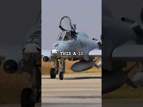 How an A-10 Warthog Took Out a Cow