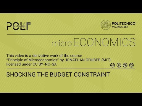 Shocking the Budget Constraint (derived from video lecture by Jonathan Gruber)
