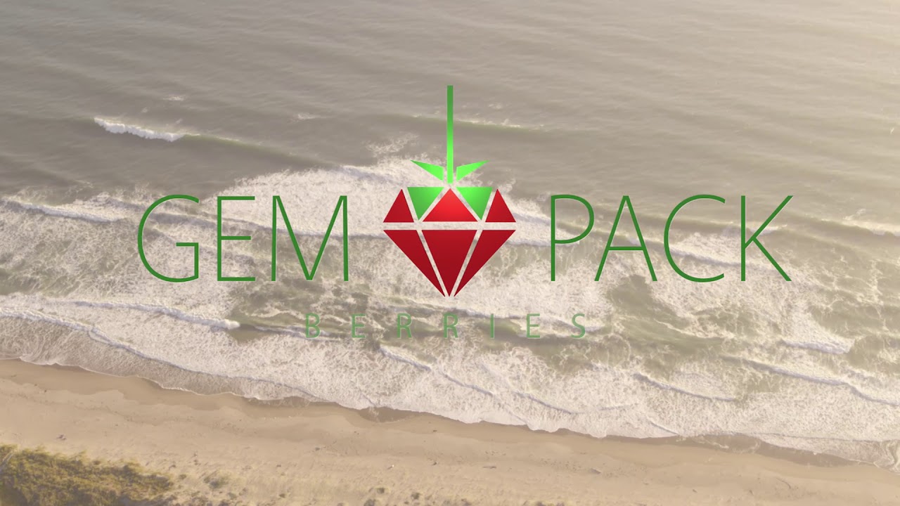 Home - GEM Pack Berries