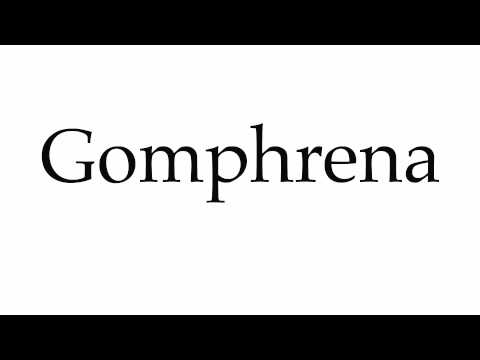 How to Pronounce Gomphrena