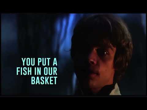 Bad lip reading seagulls stop it now but in 4 seconds! @BadLipReading