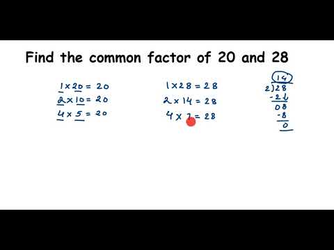 Find the common factors of 20 and 28 // how to find common factors