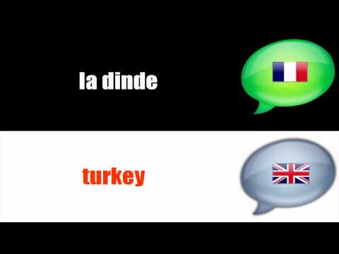 [Français - Anglais] La volaille