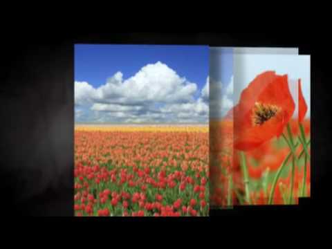 Meaning of colors