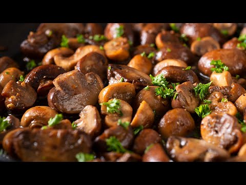 Everything You Need To Know About Mushrooms Marathon