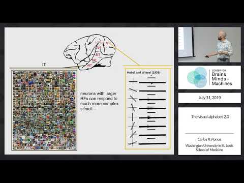 The visual alphabet 2.0