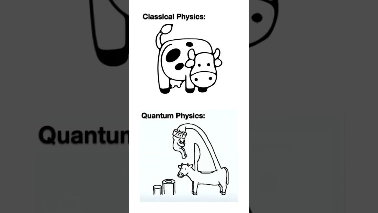 Nobody Truly Understands Quantum Mechanics ⚛️
